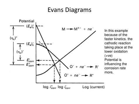 Ppt Evans Diagrams Powerpoint Presentation Id 6788617