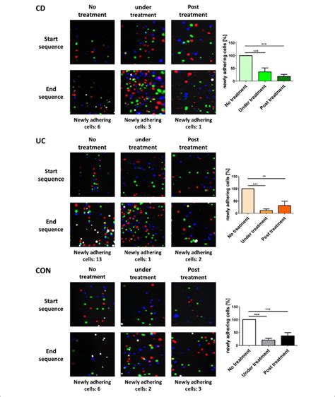 Internalization Of β7 Integrin Functionally Leads To Decreased