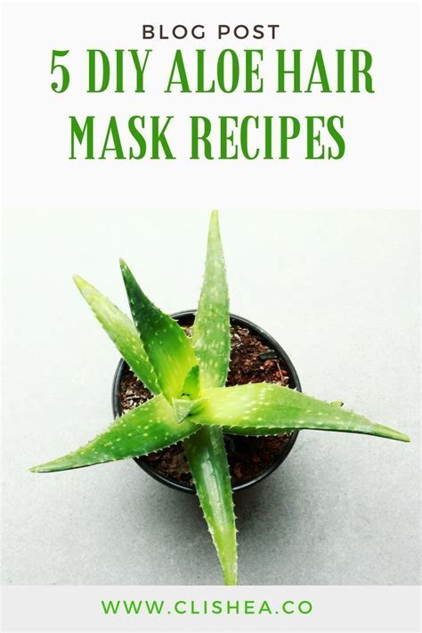 5 Diy Aloe Hair Mask Recipes Aloe For Hair Hair Mask Aloe Vera Hair