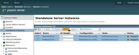 securing a payara server cluster using nginx