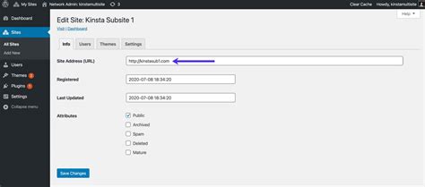 how to setup wordpress multisite domain mapping