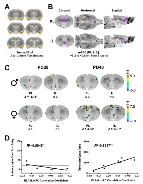 Effects Of Els On Bla Pfc Functional Connectivity Are Sex Specific And