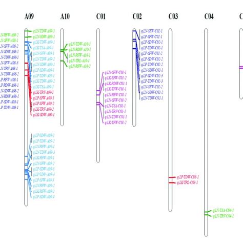 Information Of Quantitative Trait Loci Qtl Clusters In Recombinant