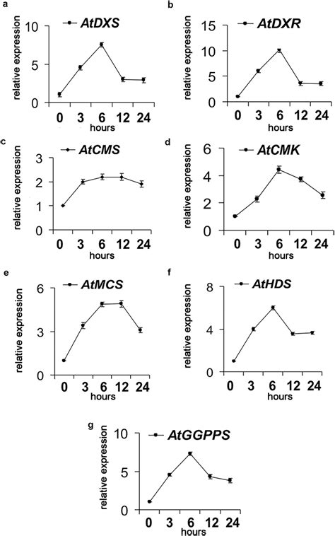 Time Course Expression Analyses Of Atdxs Atdxr Atcmk Atmct Athds