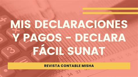 Mis Declaraciones Y Pagos Declara Fácil Sunat Youtube