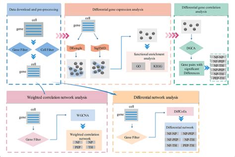 Flow Chart Of Scrna Seq Data Analysis Cat Is The Abbreviation Of