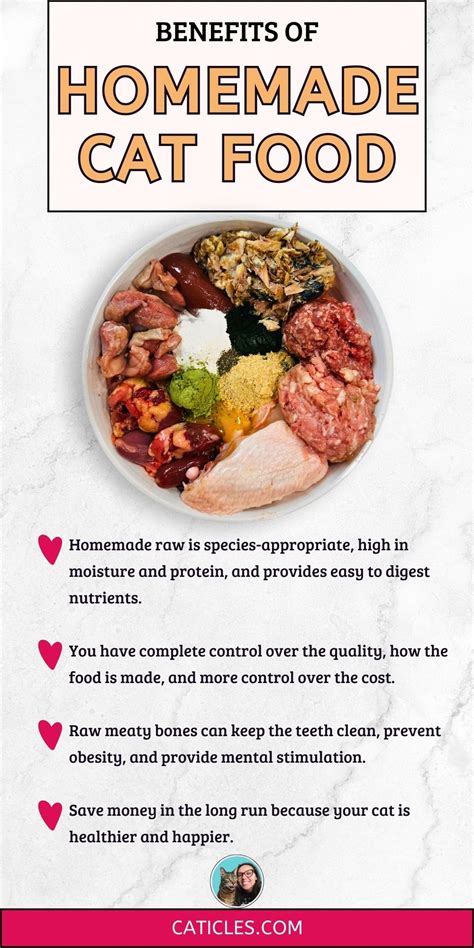 Benefits Of Homemade Cat Food Easy Healthy Recipes Caticles