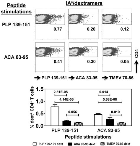 Cross Reactive T Cell Responses Induced By Aca Infection Are