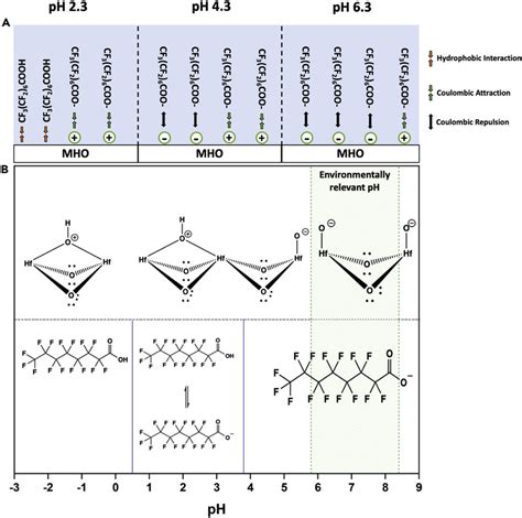 Pfoa Adsorption By Ph Modulated Brö Nsted Acid And Base Sites In Mho