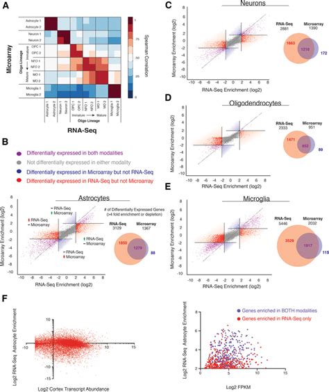 Comparison Of Rna Seq And Microarray Analyses Showed That Rna Seq