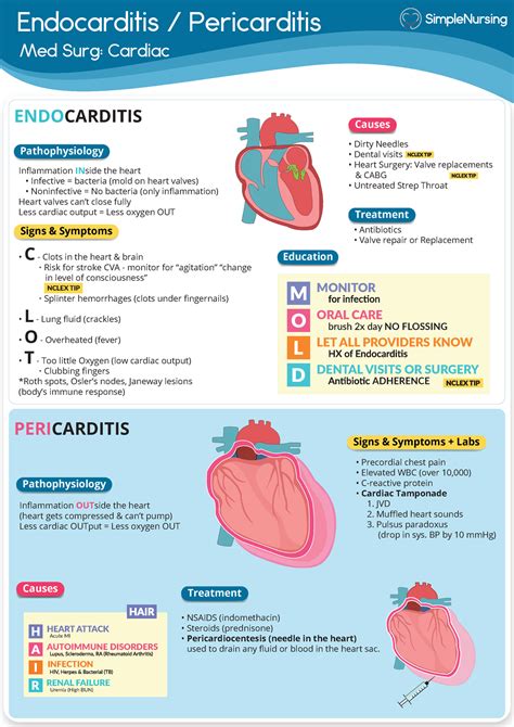 5 Endocarditis Vs Pericarditis V2 Endocarditis Pericarditis