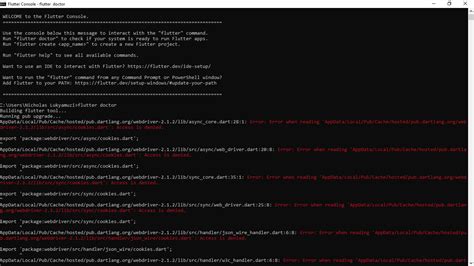 i seem to get these errors while running flutter doctor and running pub
