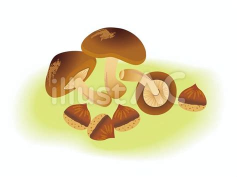 きのこと栗イラスト No 872949｜無料イラスト・フリー素材なら「イラストac」