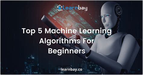 top 5 machine learning algorithms for beginners