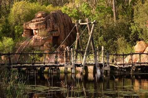 Abandoned By Disney Real