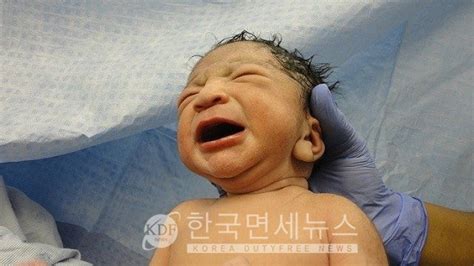 출생아 수 52개월 연속 감소 인구 자연감소는 5개월 연속 한국면세뉴스