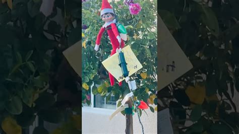 Elf On The Shelf Rex Emilio Christmas Makingmemories