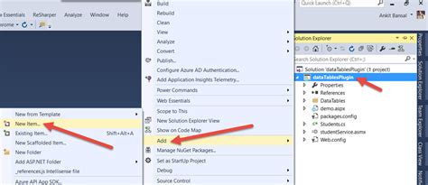 display data in asp using jquery datatables plugin