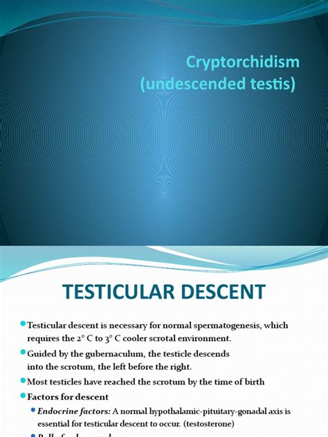 Cryptorchidism Undescended Testis Pdf Testicle Medicine