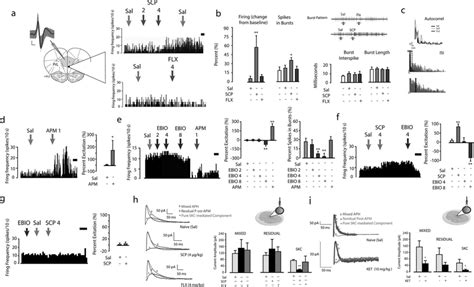 Effect Of Scp On Mpfc Pyramidal Firing Activity A Integrated Firing