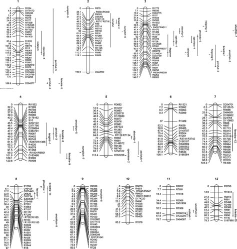 linkage groups with qtls mapped continued in fig 2 linkage groups