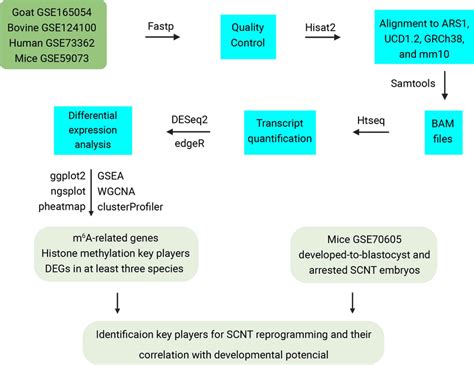 Schematic Overview Of The Bioinformatics Pipeline Of Differential