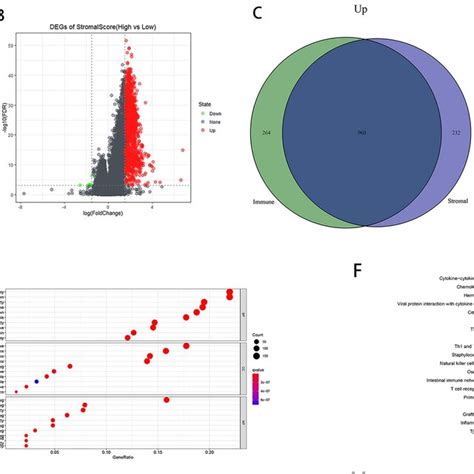 Volcano Plots Venn Diagrams And Go And Kegg Enrichment Analyses Of