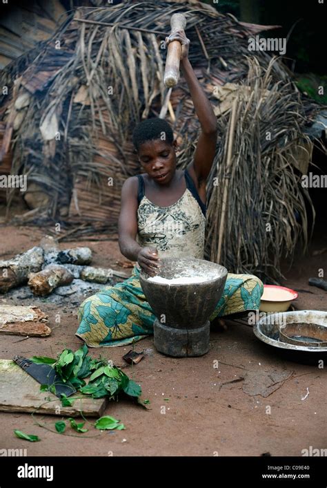 Baka Pygmée Banque De Photographies Et Dimages à Haute Résolution Alamy