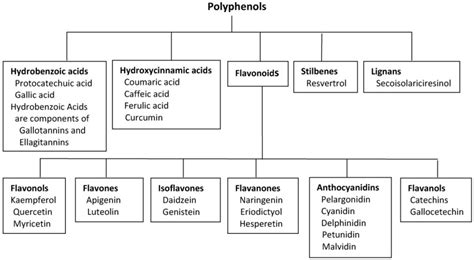 Polyphenol Chart