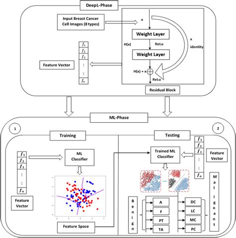 Overall Flow Diagram Of Proposed Deepml Framework Download