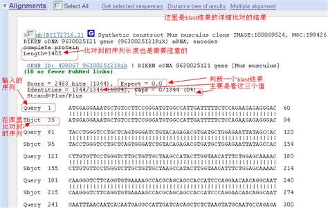 ncbi在线blast的图文说明 优宝生物