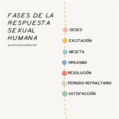 Sexualidad Cómo Es La Respuesta Sexual Humana Y Qué Disfunciones Puede