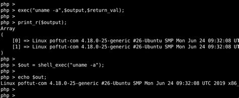 how to execute shell commands with php exec and examples