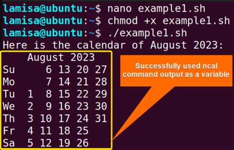 how to save bash output to variable [4 practical cases]