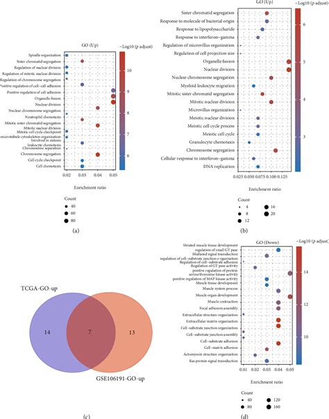 Figure 3 From Integrative Analysis Of Differently Expressed Genes