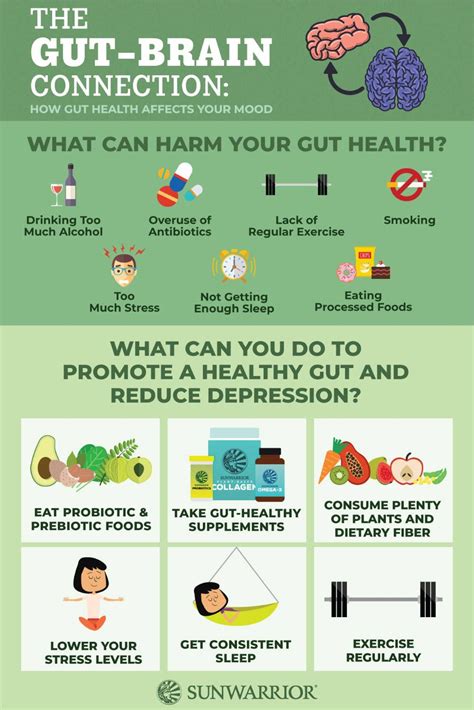 The Gut Brain Connection How Gut Health Affects Your Mood [infographic