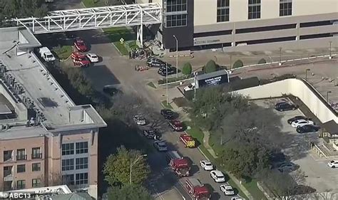 Texas Cops Shoot Dead Woman Armed With A Long Rifle And Accompanied By