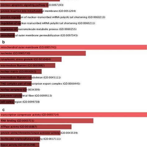 Functional Analysis And Go Term Classification For Identified Target