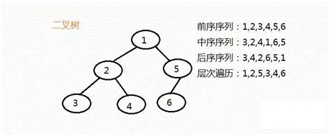 【数据结构】二叉树的层次遍历 知乎