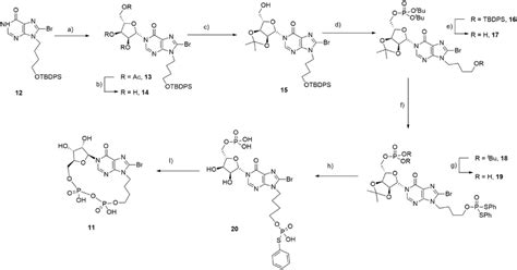 Synthesis Of 8 Br L N9 Butyl Cidpr 11 Reagents A I Dbu Ii
