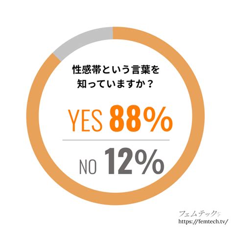 フェムテック Tv ｰ 生理やpms、セクシャル分野まで女性のカラダの悩みを解決する情報メディアサイト 性感帯はみんな同じ場所にある？ 産婦人