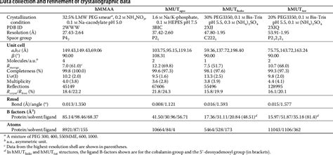 Table 1 From Structures Of The Human Gtpase Mmaa And Vitamin B12