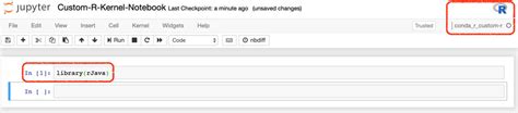 creating a persistent custom r environment for amazon