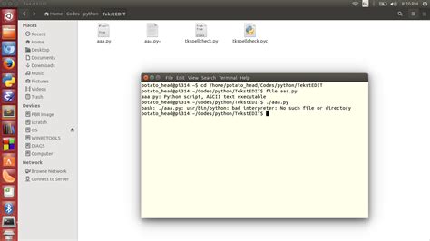 command line unable to run python file from terminal ask ubuntu