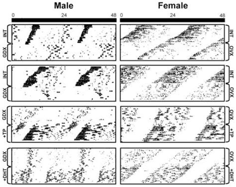 Gonadectomy Reveals Sex Differences In Circadian Rhythms And