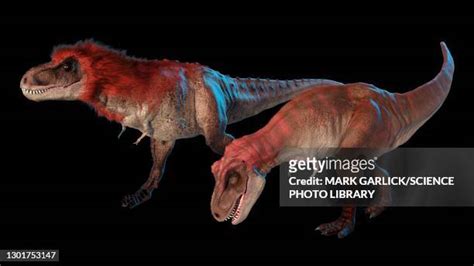Tyrannosaurus Rex Feathers Photos And Premium High Res Pictures Getty