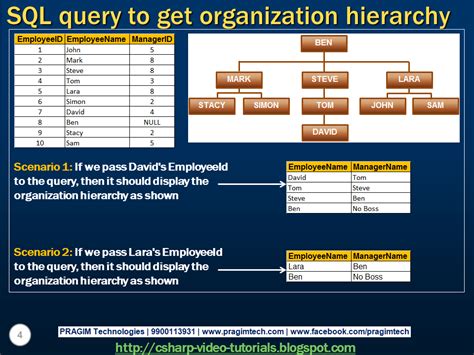 sql server and c video tutorial part 2 sql query to get