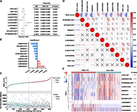 Figure 5 From Computational Identification And Clinical Validation Of A