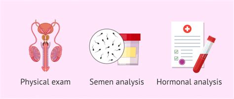 Male Fertility Testing How Do You Know If You Are Infertile