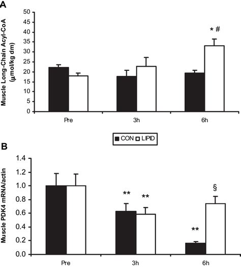 Skeletal Muscle Lcac Concentration A And Pdk4 Mrna Expression B